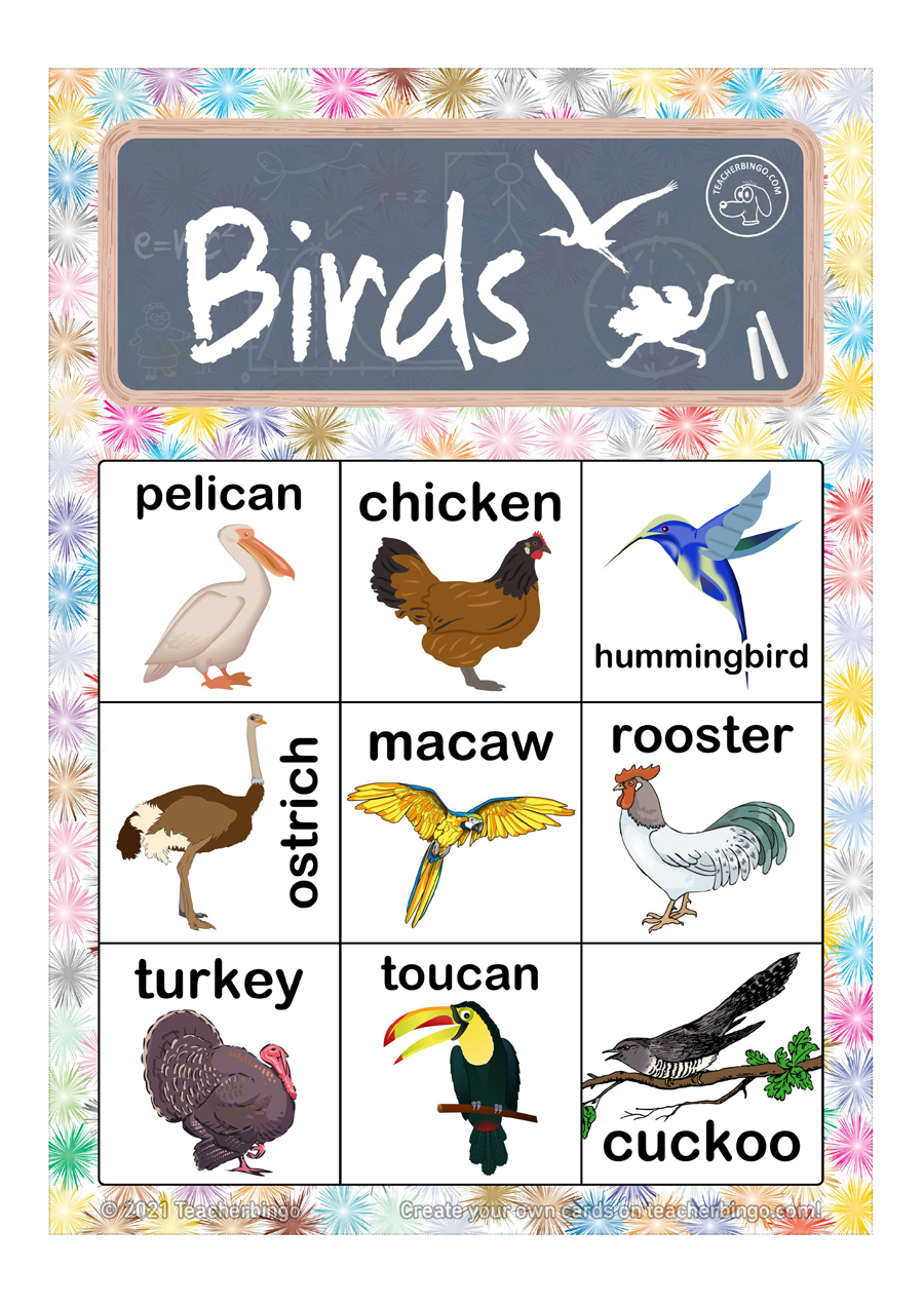 Birds Bingo 3x3 (5 pages + call sheet) | Made By Teachers