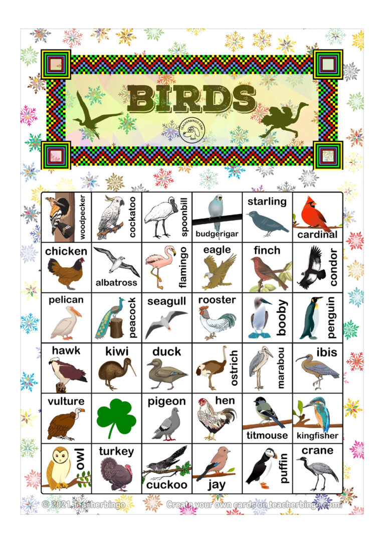 Birds Bingo 6x6 (5 pages + call sheet) | Made By Teachers