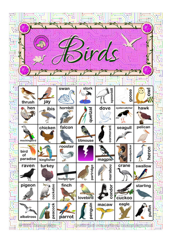 Birds Bingo 7x7 (5 pages + call sheet) | Made By Teachers