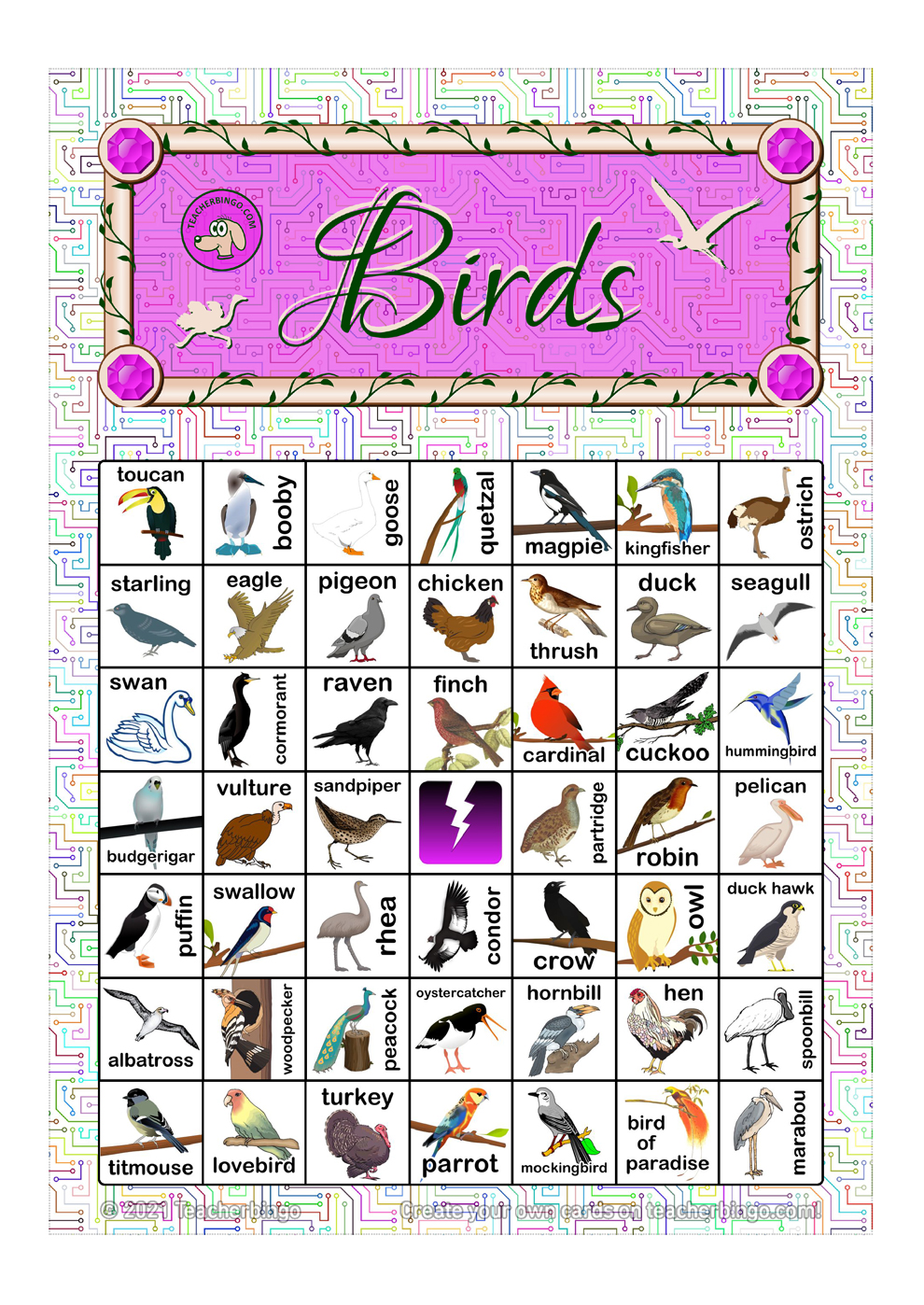 Birds Bingo 7x7 (5 pages + call sheet) | Made By Teachers