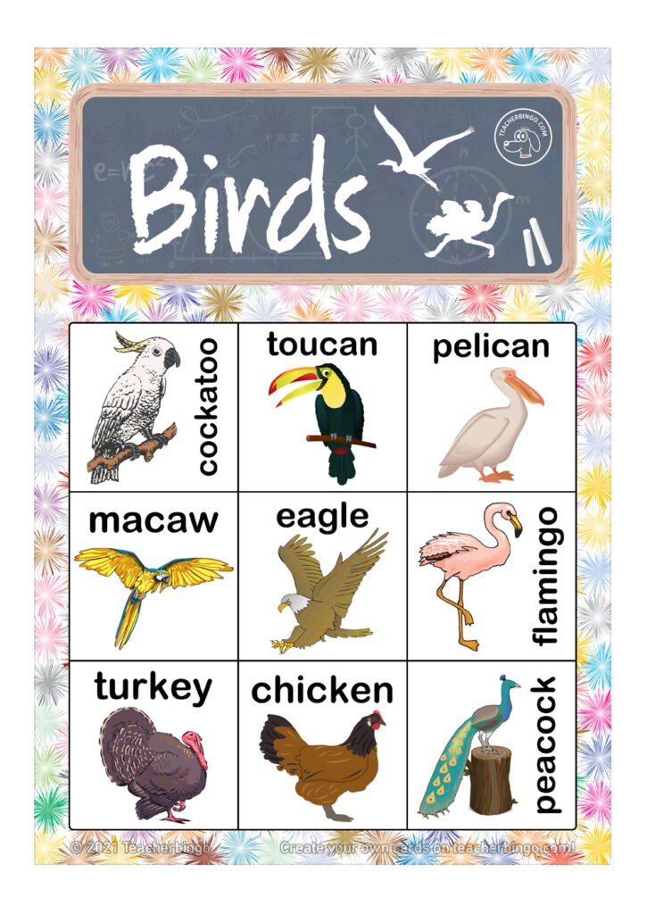 Birds Bingo 3x3 (100 pages + call sheet) | Made By Teachers
