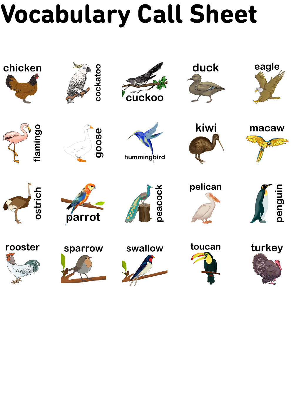 Birds Bingo 3x3 (100 pages + call sheet) | Made By Teachers