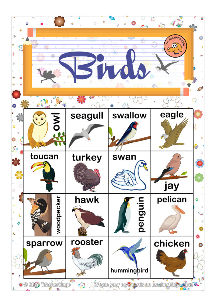 Birds Bingo 4x4 (100 pages + call sheet) | Made By Teachers