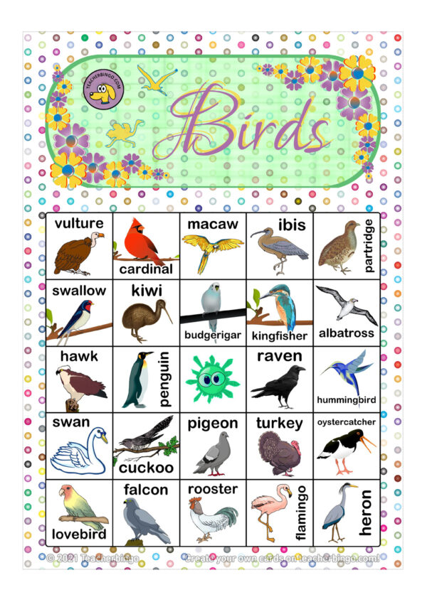 Birds Bingo 5x5 (100 pages + call sheet) | Made By Teachers