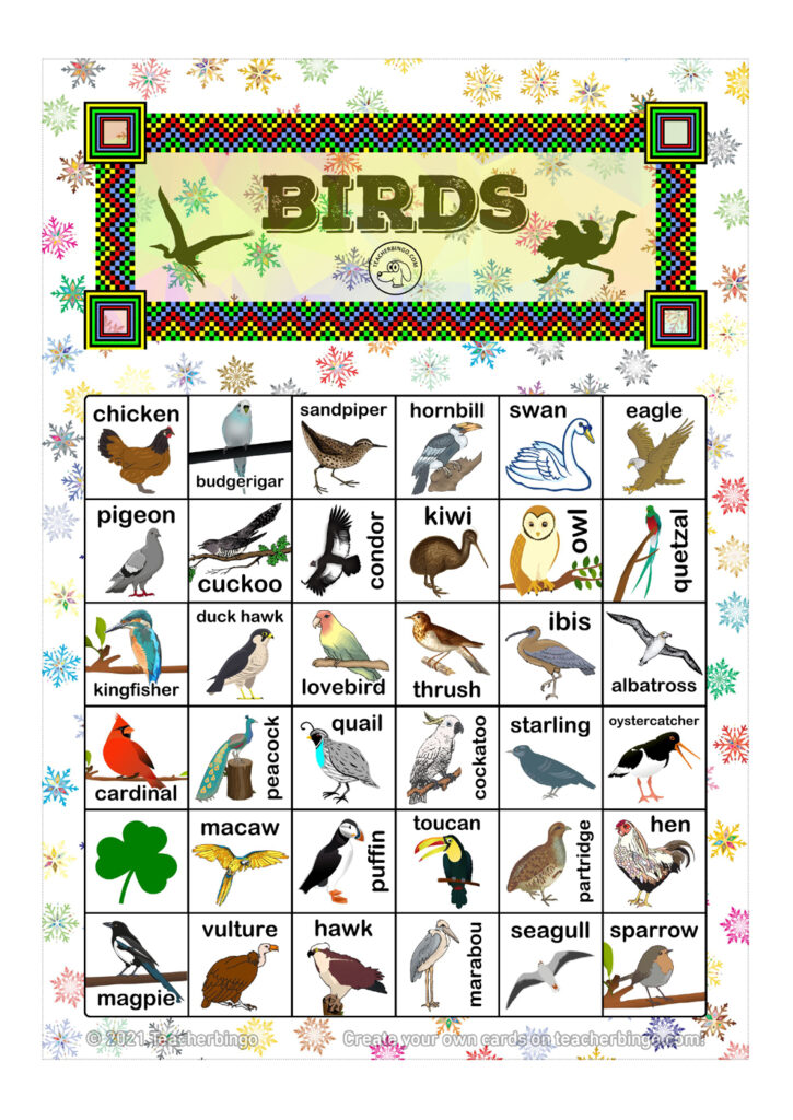 Birds Bingo 6x6 (100 pages + call sheet) | Made By Teachers