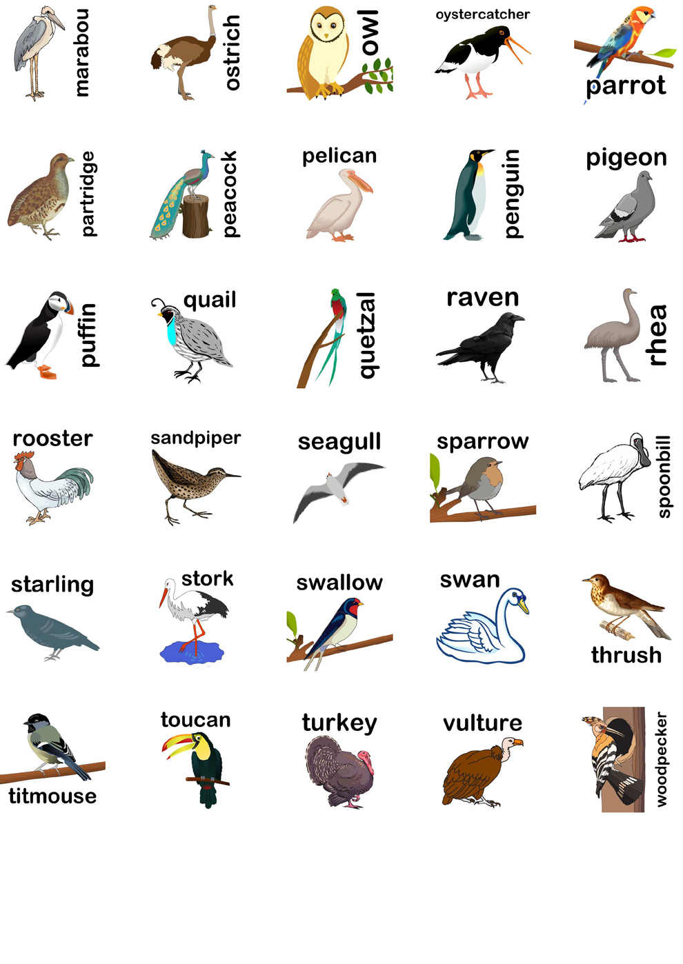 Birds Bingo 6x6 (100 pages + call sheet) | Made By Teachers