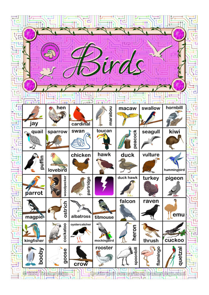 Birds Bingo 7x7 (100 pages + call sheet) | Made By Teachers