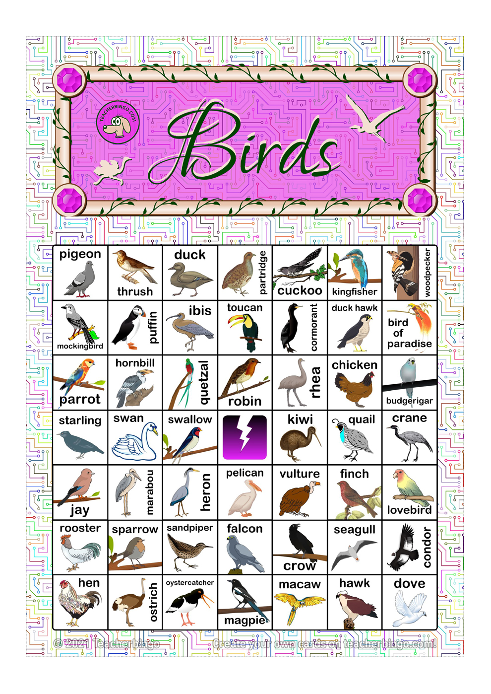 Birds Bingo 7x7 (100 pages + call sheet) | Made By Teachers