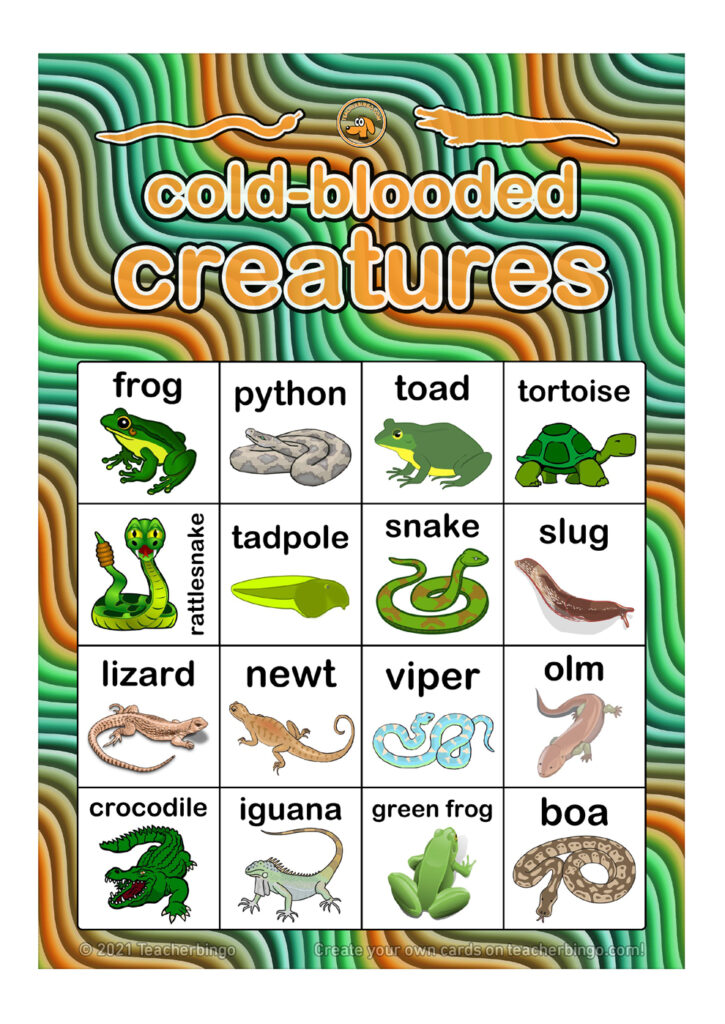 Cold-Blooded Creatures (Reptiles) Bingo 4x4 (5 pages + call sheet ...