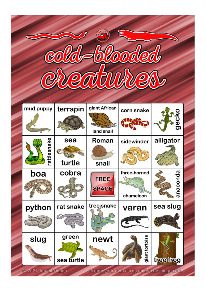 Pets Bingo 4x4 (100 pages + call sheet) | Made By Teachers