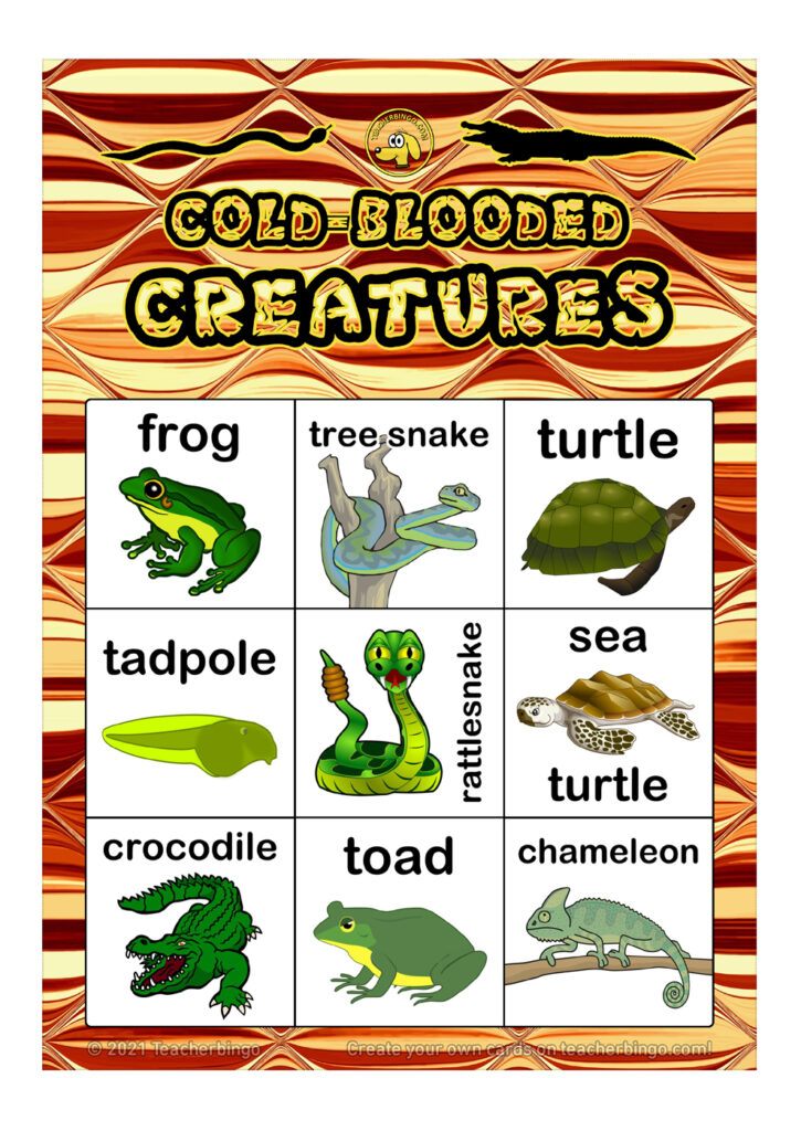Human Body Parts Bingo 3x3 (100 pages + call sheet) | Made By Teachers