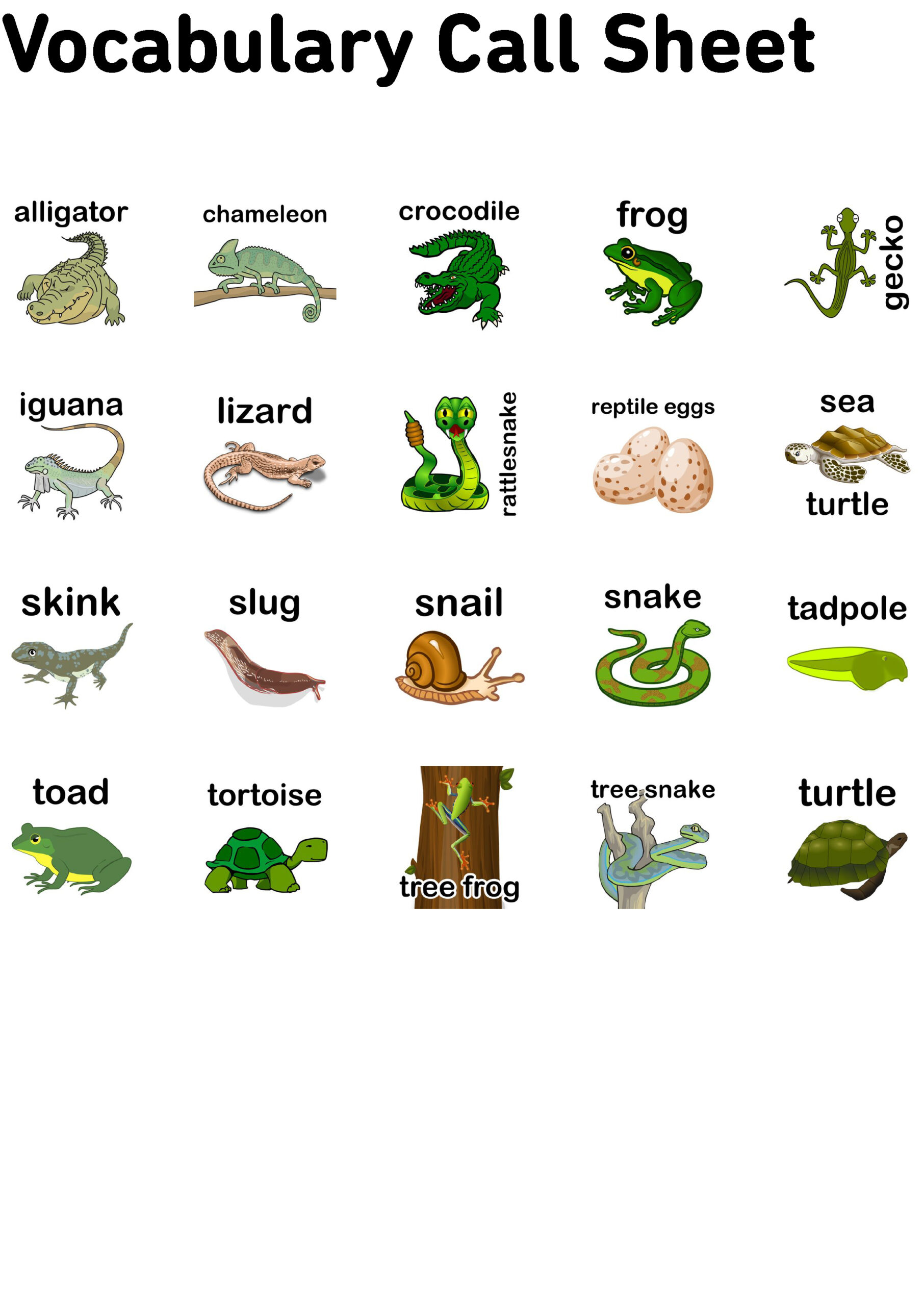 Cold-Blooded Creatures (Reptiles) Bingo 3x3 (100 pages + call sheet ...