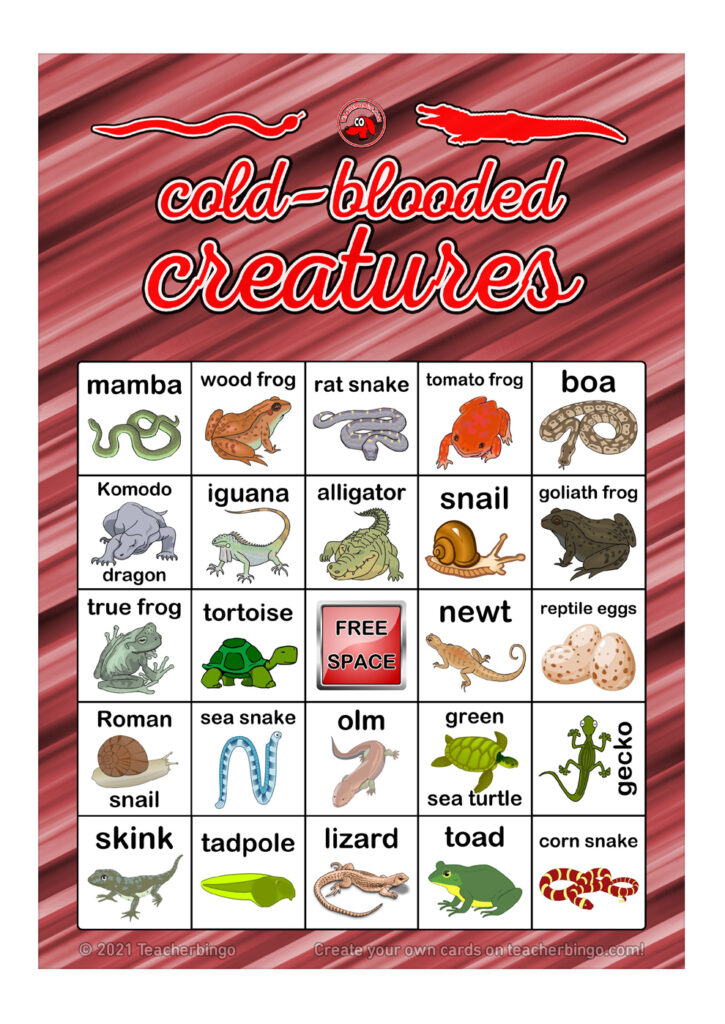 Cold-Blooded Creatures (Reptiles) Bingo 5x5 (100 pages + call sheet ...