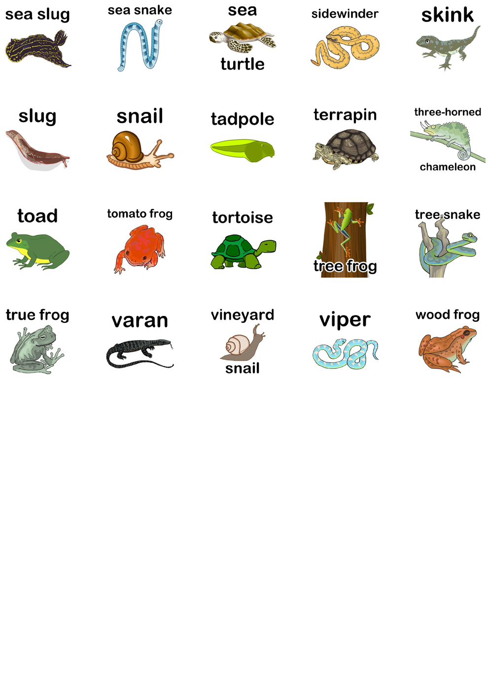 Cold-Blooded Creatures (Reptiles) Bingo 5x5 (100 pages + call sheet ...