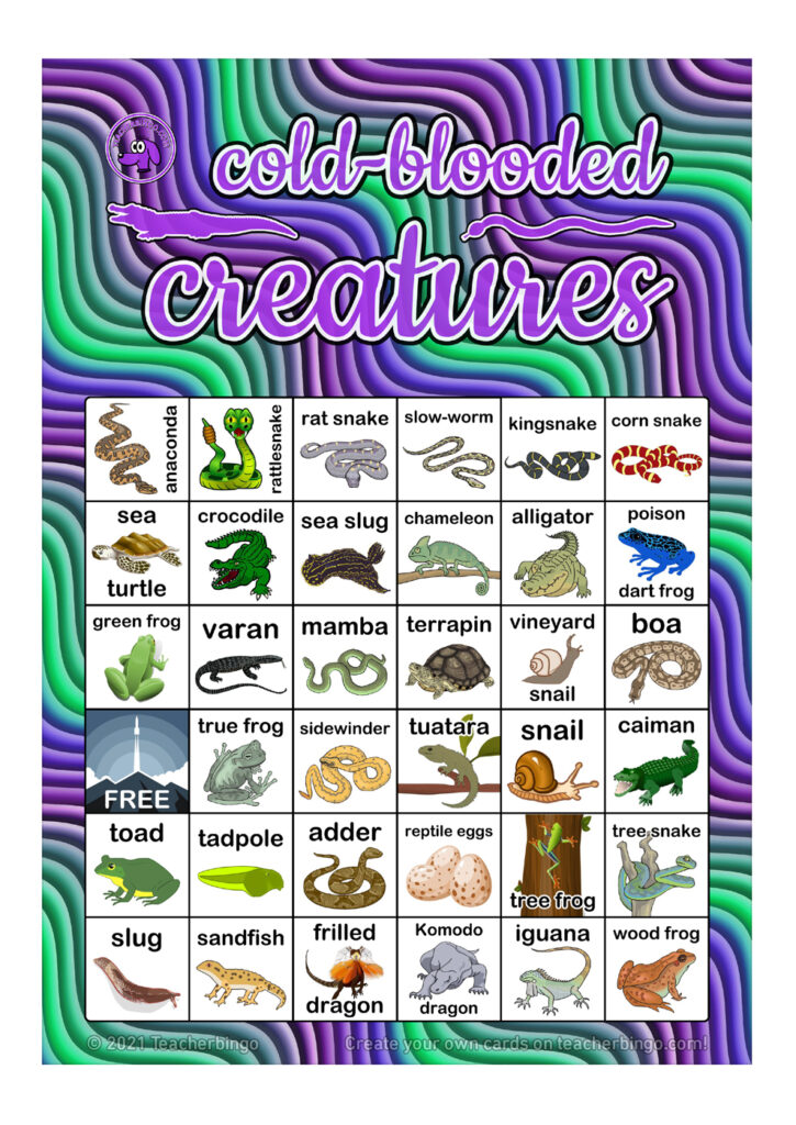 Cold-Blooded Creatures (Reptiles) Bingo 6x6 (100 pages + call sheet) | Made By Teachers