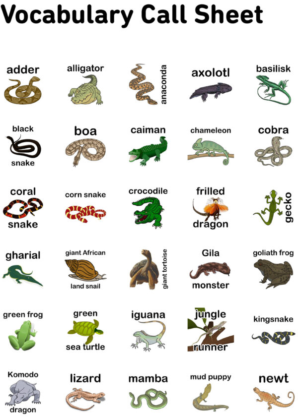 Cold-Blooded Creatures (Reptiles) Bingo 7x7 (100 pages + call sheet ...