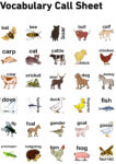 Farm Animals Bingo 6x6 (100 pages + call sheet) | Made By Teachers