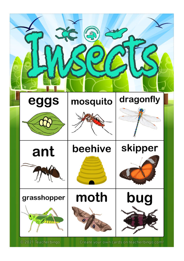 Crawling Critters Bingo (Insects) 3x3 (5 pages + call sheet) | Made By ...