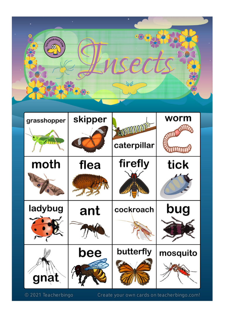 Crawling Critters Bingo (Insects) 4x4 (5 pages + call sheet) | Made By ...