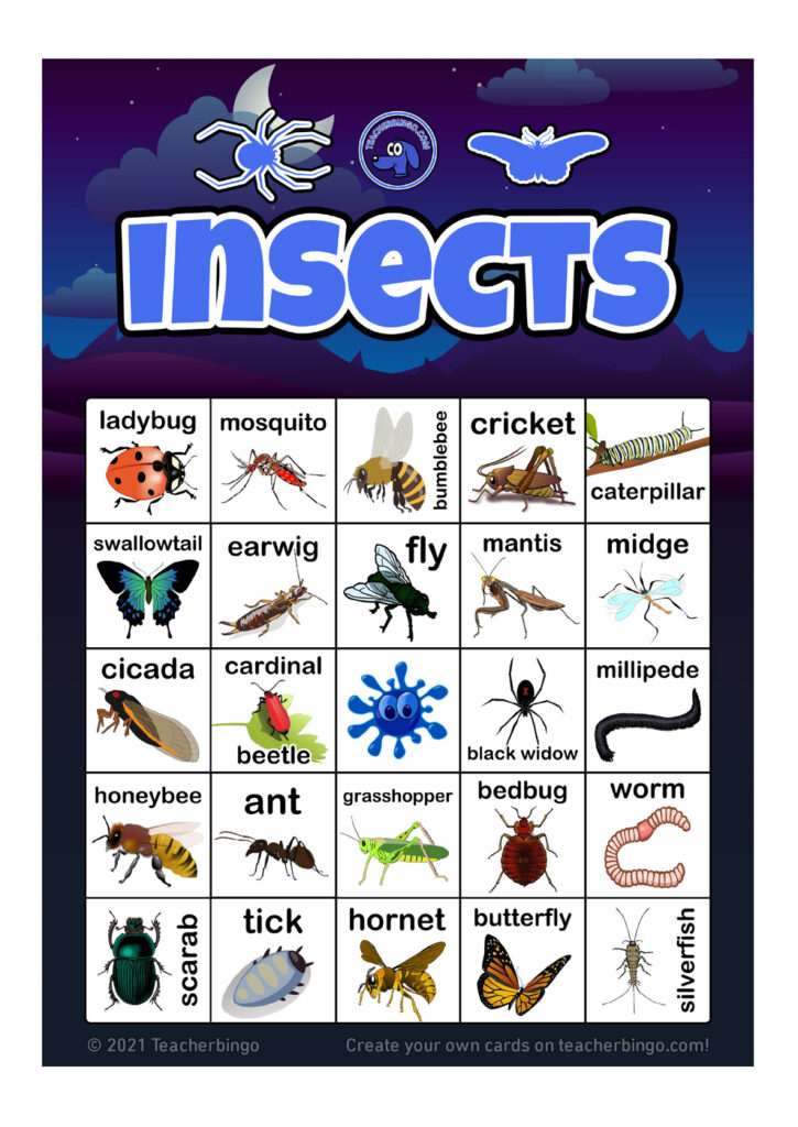 Crawling Critters Bingo (Insects) 5x5 (5 pages + call sheet) | Made By ...