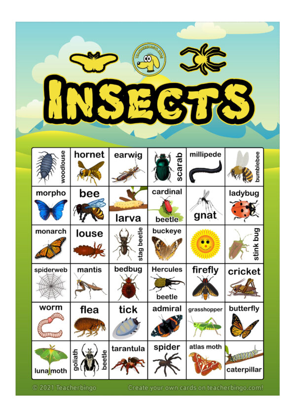 Teacherbingo | Made By Teachers