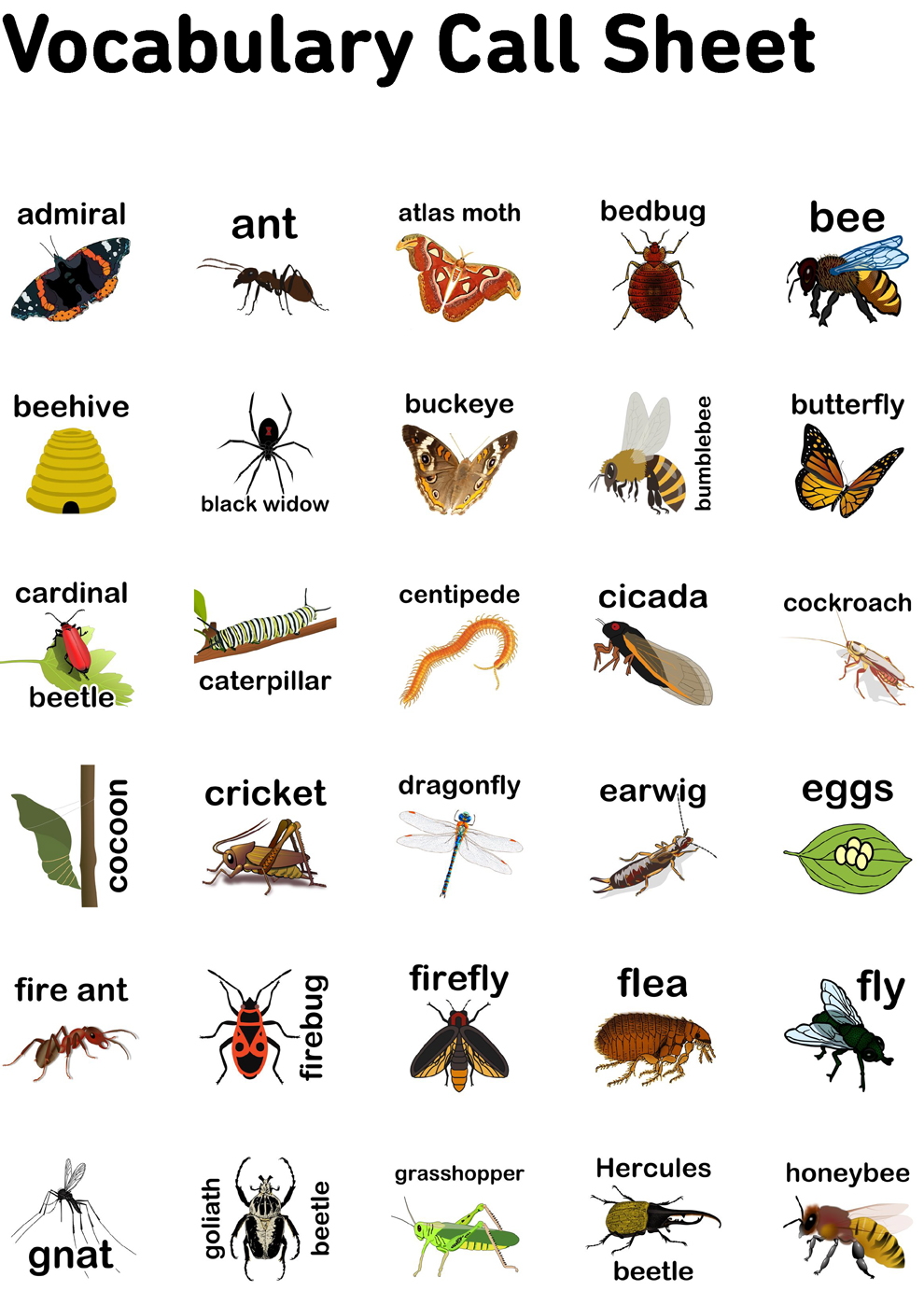 Crawling Critters Bingo (Insects) 6x6 (5 pages + call sheet) | Made By ...