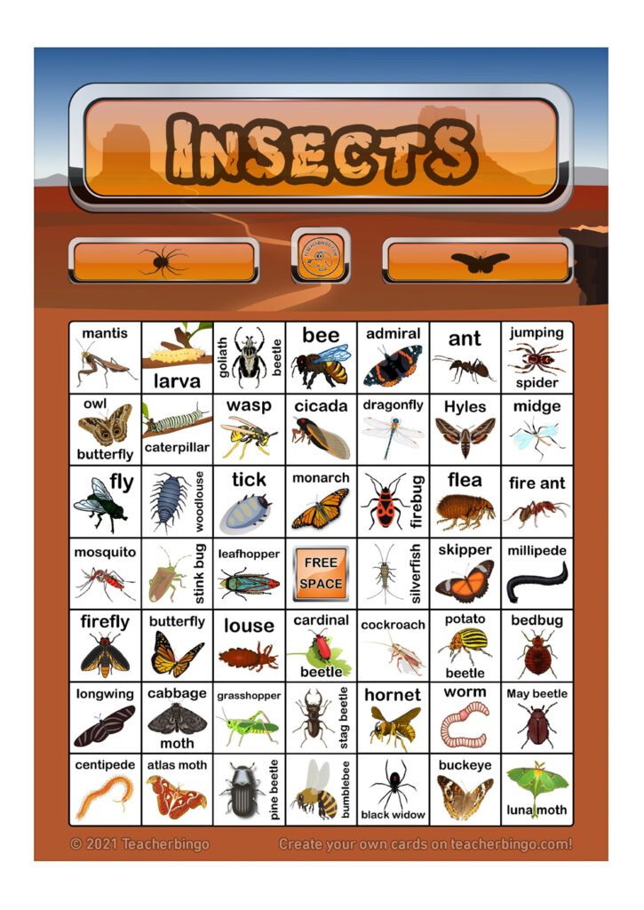 Crawling Critters Bingo (Insects) 7x7 (5 pages + call sheet) | Made By ...