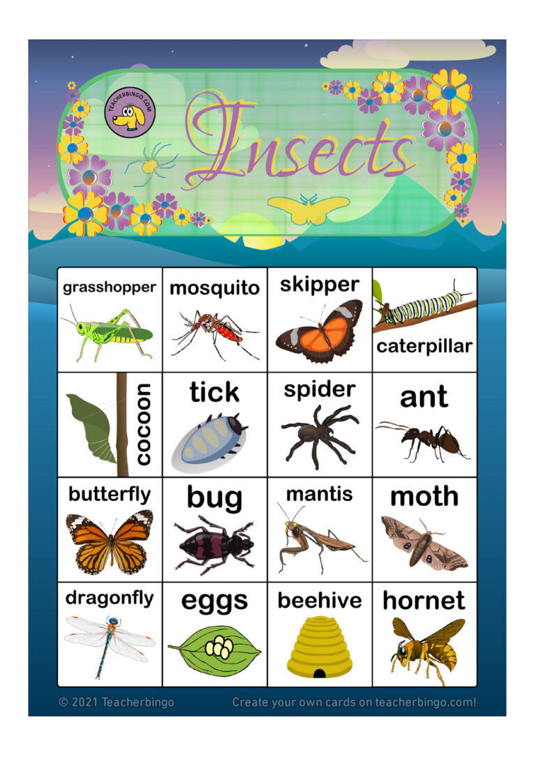 Crawling Critters Bingo (Insects) 6x6 (100 pages + call sheet) | Made ...