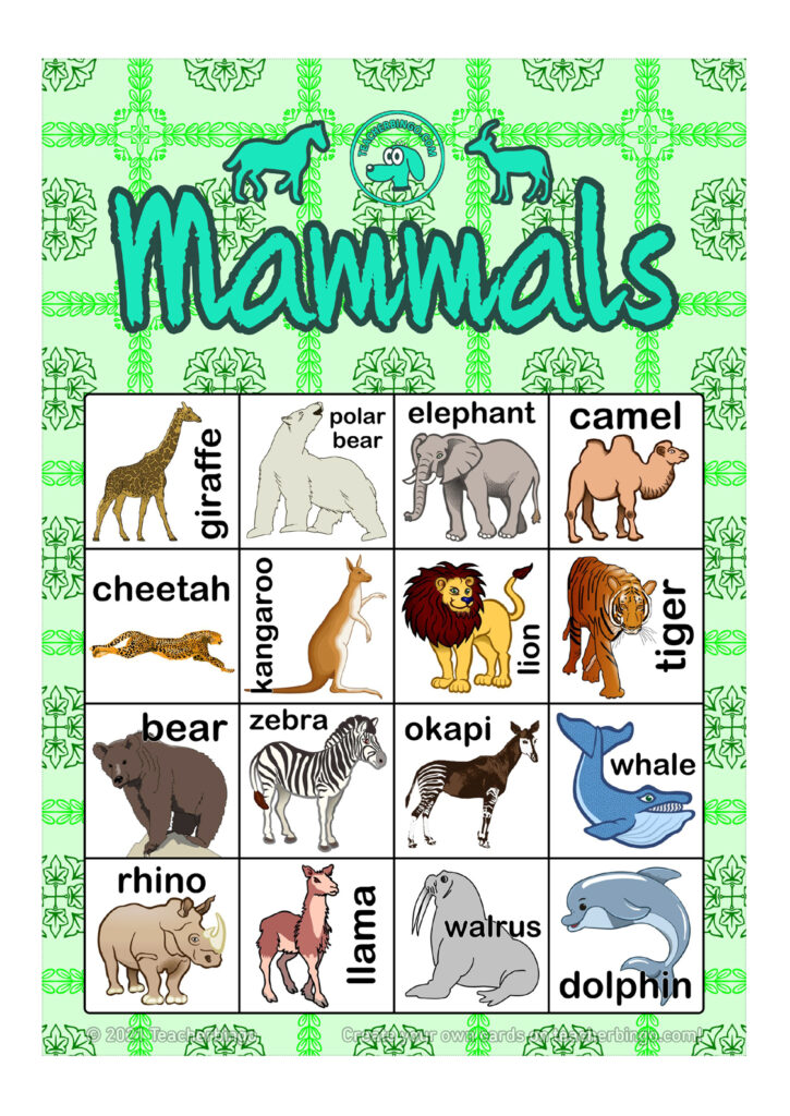 Mammals Bingo 4x4 (5 pages + call sheet) | Made By Teachers