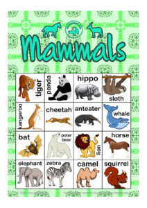 Mammals Bingo 4x4 (5 pages + call sheet) - Made By Teachers
