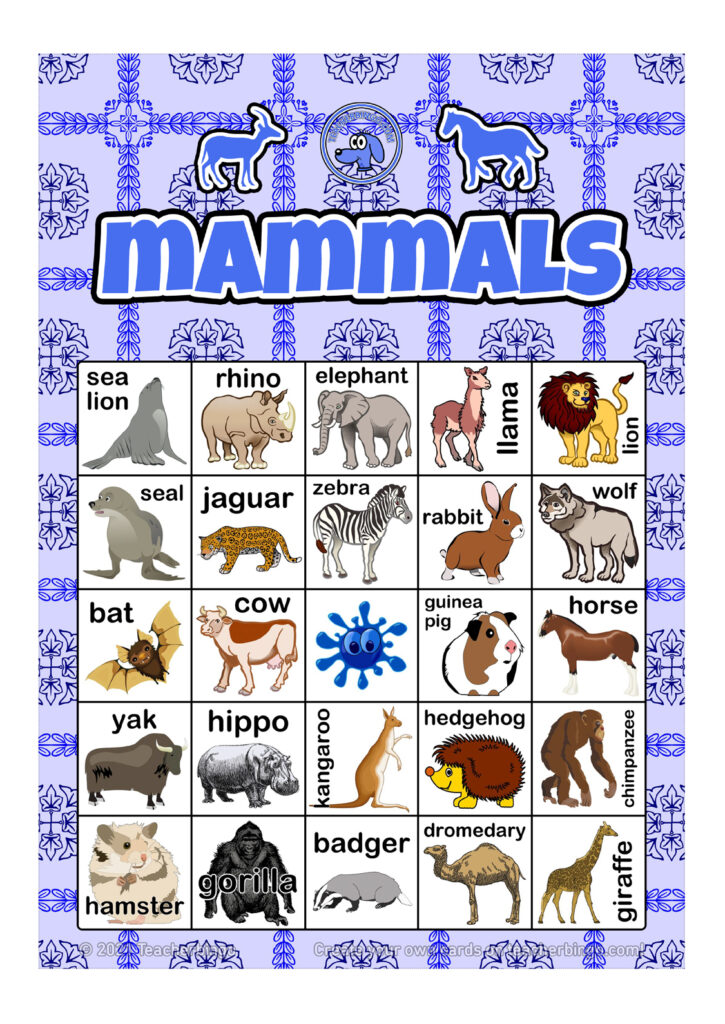 National Flags Bingo 5x5 (5 pages + call sheet) | Made By Teachers