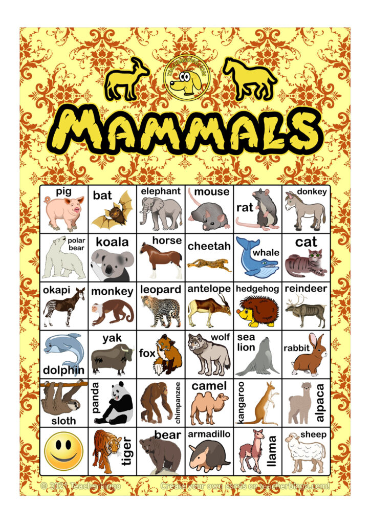 Birthday Party Bingo 3x3 (5 pages + call sheet) | Made By Teachers