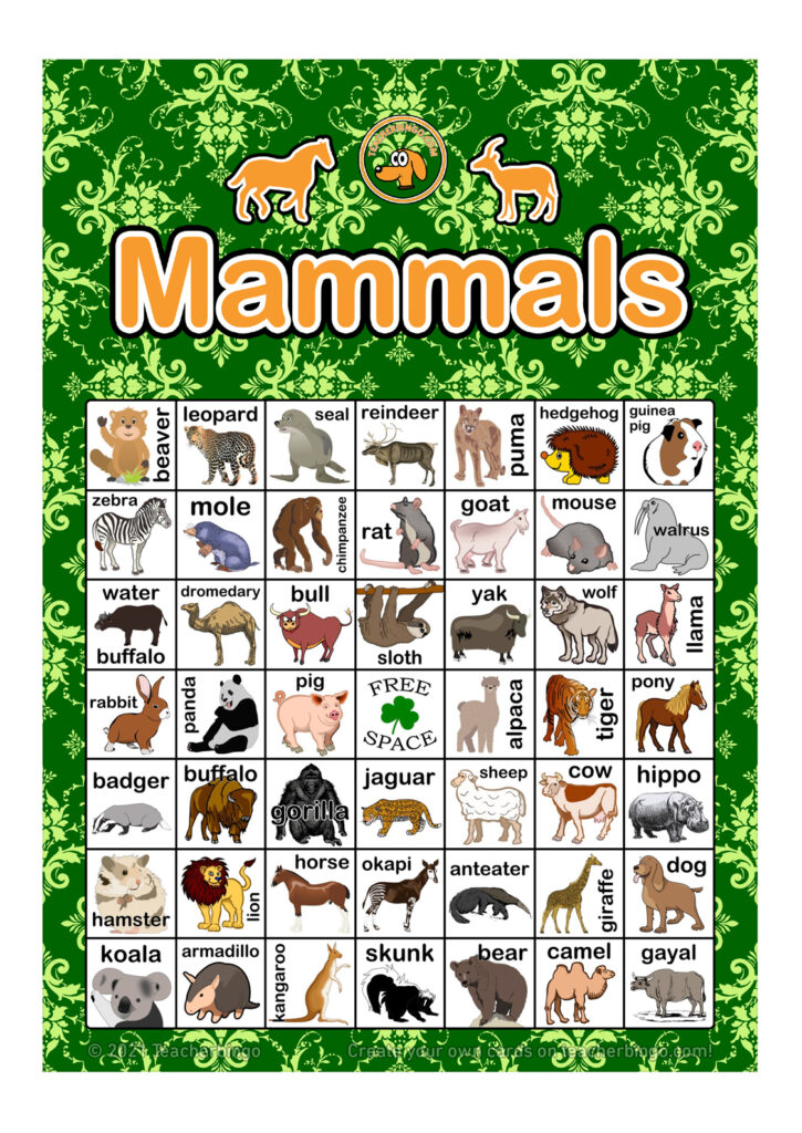 Children’s Day Bingo 4x4 (100 pages + call sheet) | Made By Teachers