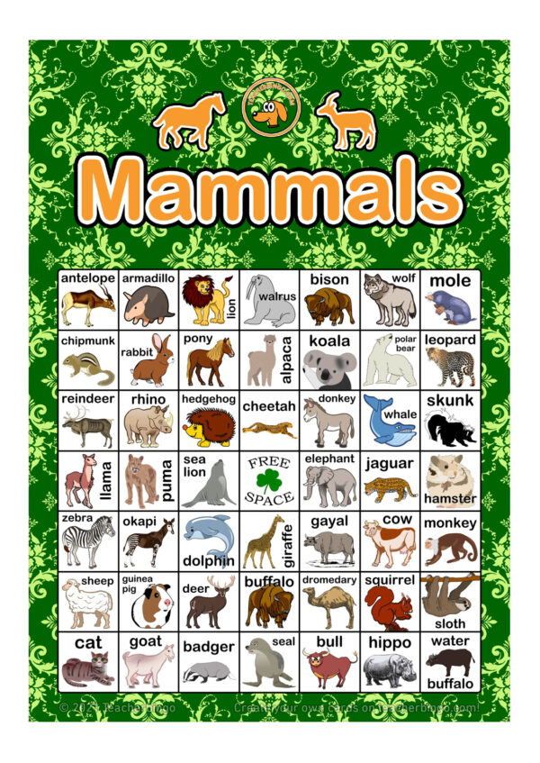Mammals Bingo 7x7 (5 pages + call sheet) | Made By Teachers