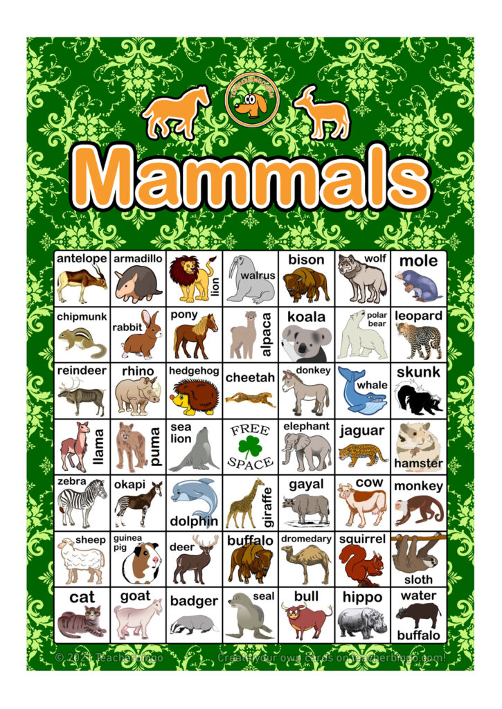 Mammals Bingo 7x7 (5 pages + call sheet) | Made By Teachers