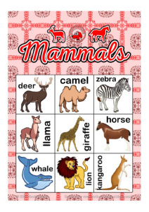 Religious Christmas Bingo 7x7 (100 pages + call sheet) | Made By Teachers