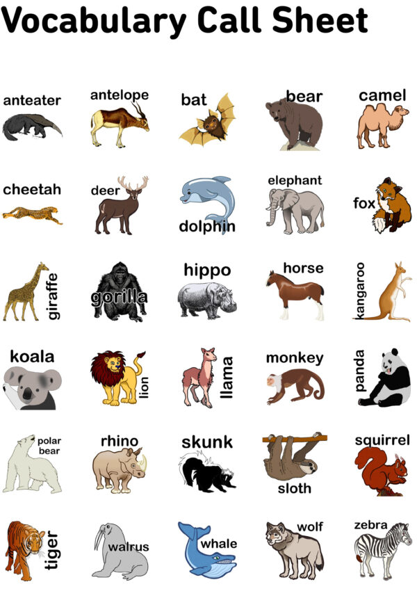 Mammals Bingo 4x4 (100 pages + call sheet) | Made By Teachers