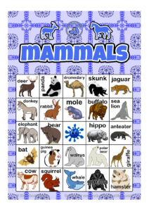US States’ Capitals Bingo 6x6 (100 pages + call sheet) | Made By Teachers