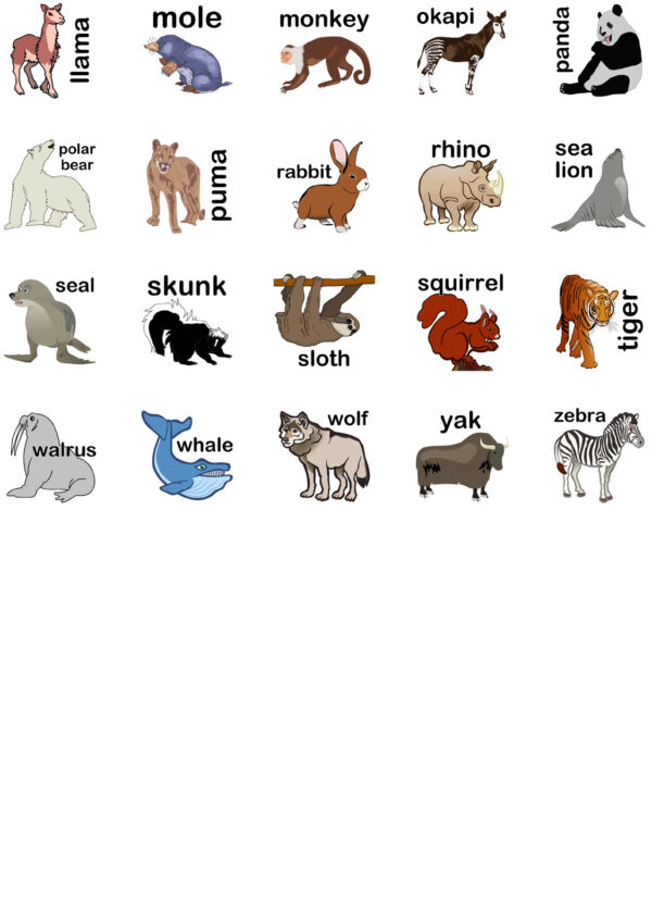 Mammals Bingo 5x5 (100 pages + call sheet) | Made By Teachers