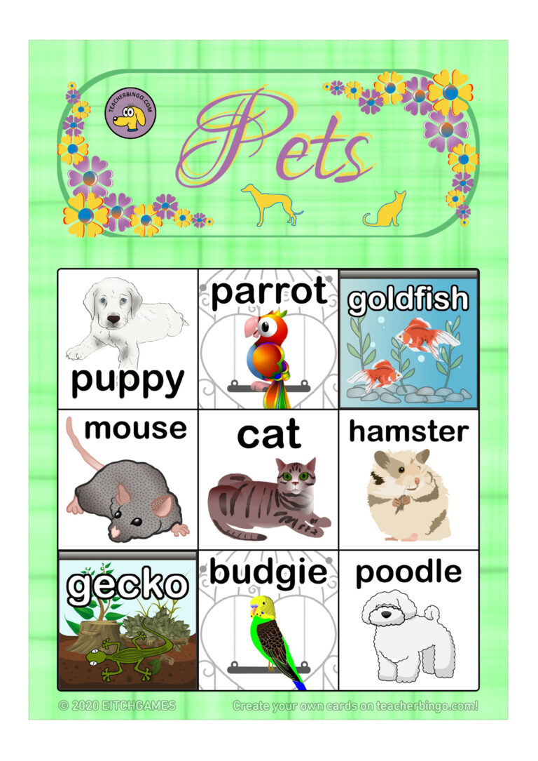 Pets Bingo 3x3 (5 pages + call sheet) | Made By Teachers