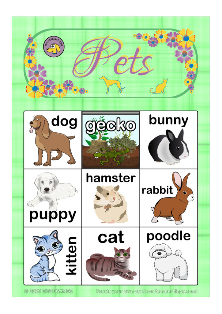 Pets Bingo 3x3 (5 pages + call sheet) | Made By Teachers