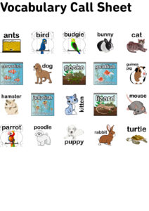 Pets Bingo 3x3 (5 pages + call sheet) | Made By Teachers