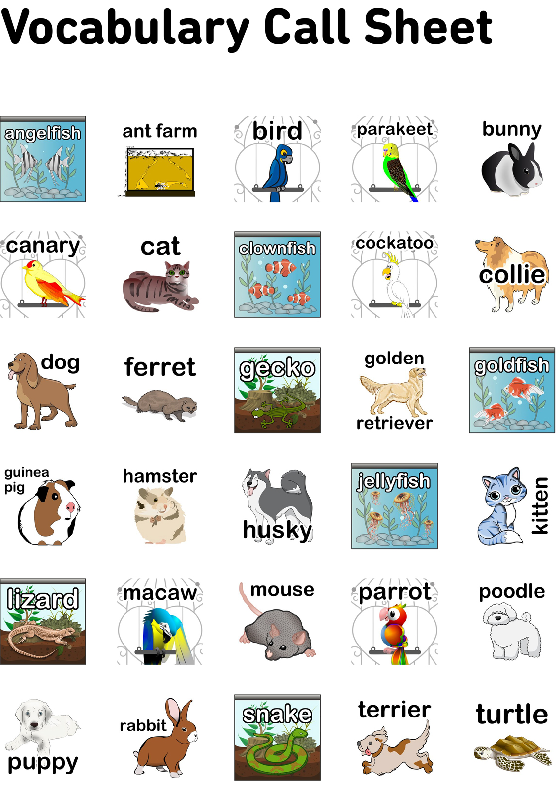 Pets Bingo 4x4 (5 pages + call sheet) | Made By Teachers