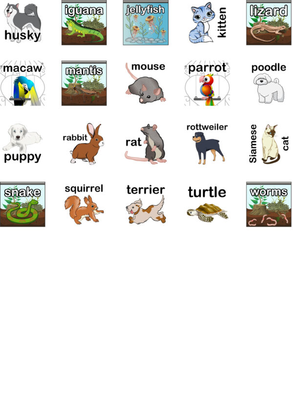 Pets Bingo 5x5 (5 pages + call sheet) | Made By Teachers