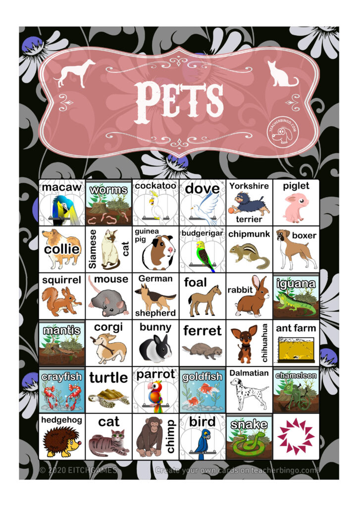 Christmas Bingo 7x7 (5 pages + call sheet) | Made By Teachers