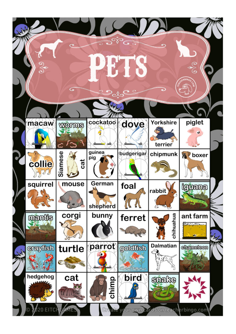 Pets Bingo 6x6 (5 pages + call sheet) | Made By Teachers