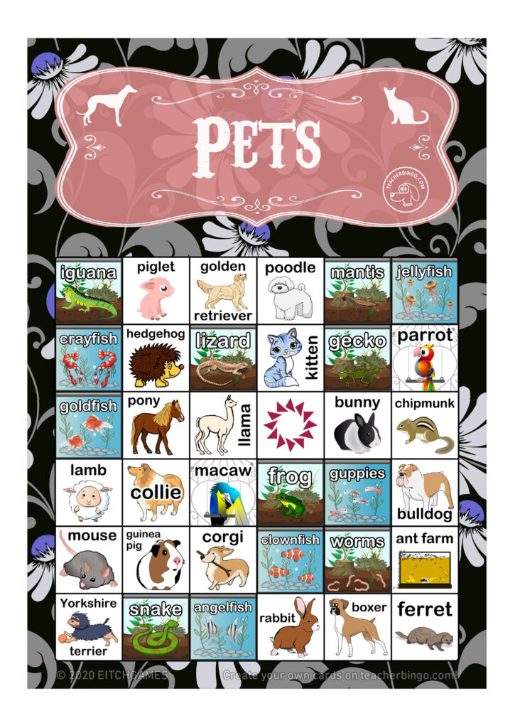 Pets Bingo 6x6 (5 pages + call sheet) | Made By Teachers