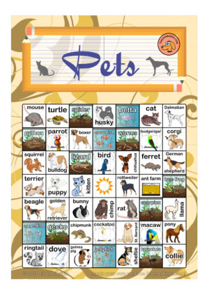 Pets Bingo 7x7 (5 pages + call sheet) | Made By Teachers