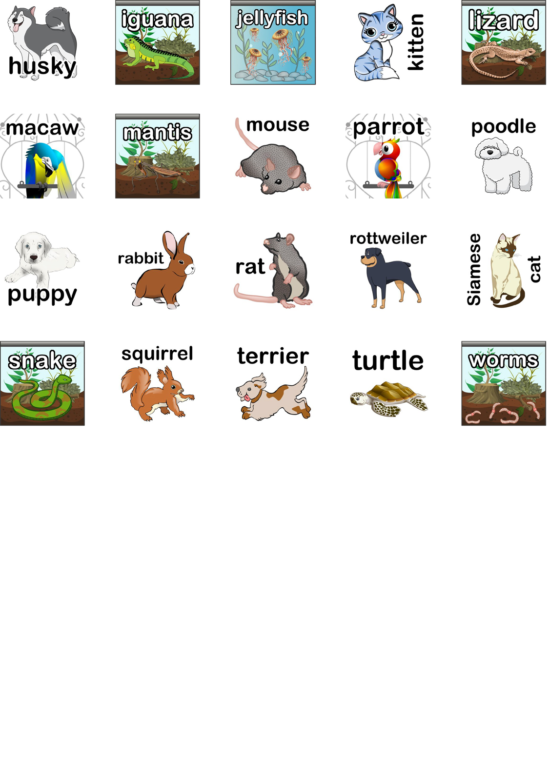 Pets Bingo 5x5 (100 pages + call sheet) | Made By Teachers