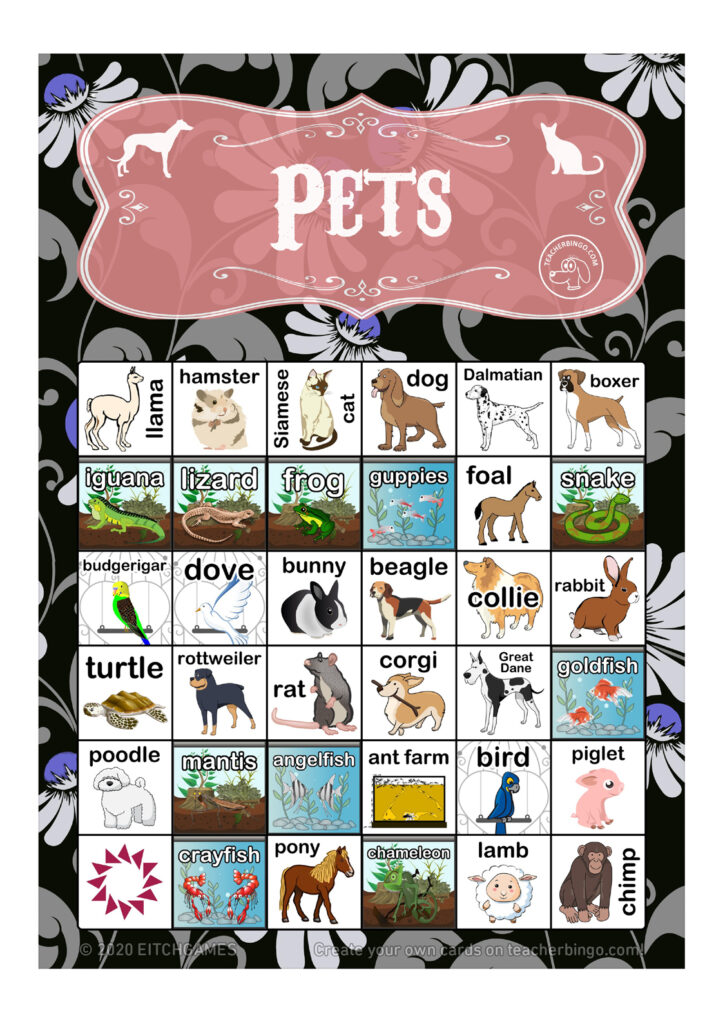 Pets Bingo 6x6 (100 pages + call sheet) | Made By Teachers